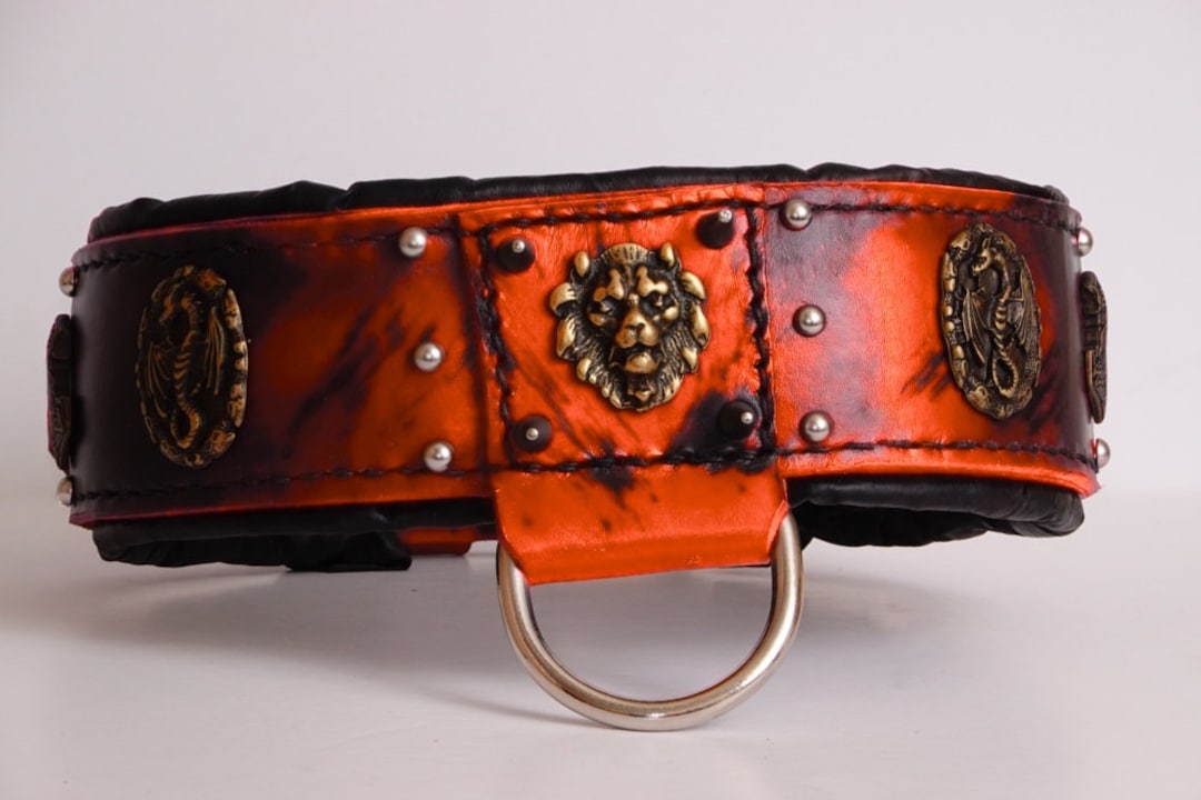 Leather Dog Collar Orange and Black Color Padded for Strong Dog Breeds ...