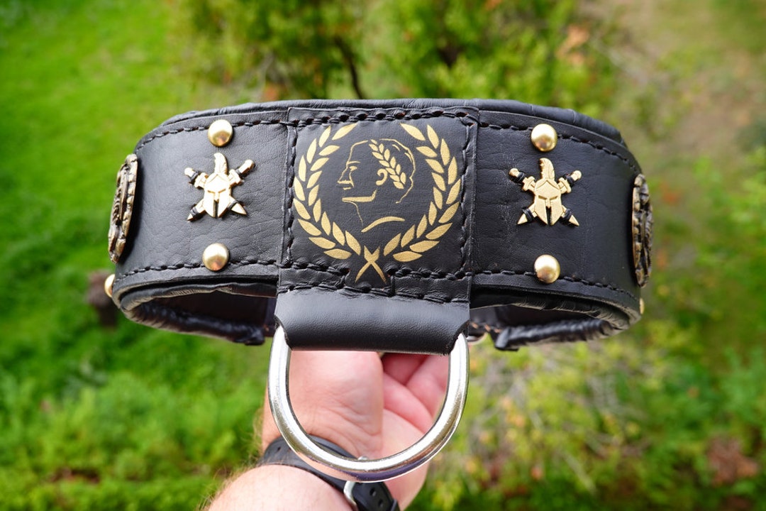 Roman Dog Collar, Cane Corso Italian Mastiff Collar - Etsy