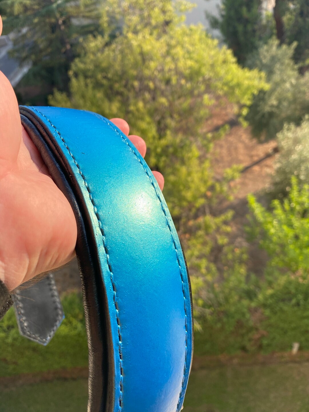 Chameleon Color Shifting Leather Dog Collar: Blue to Green, Handmade - Etsy