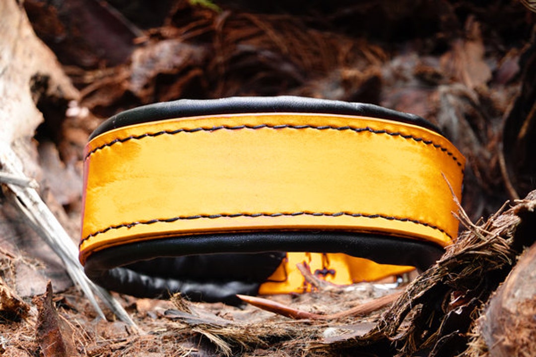 Yellow Leather Agitation Training Dog Collar Padded - Etsy