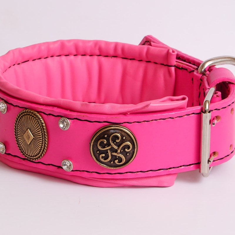 Female Dog Collar - Etsy