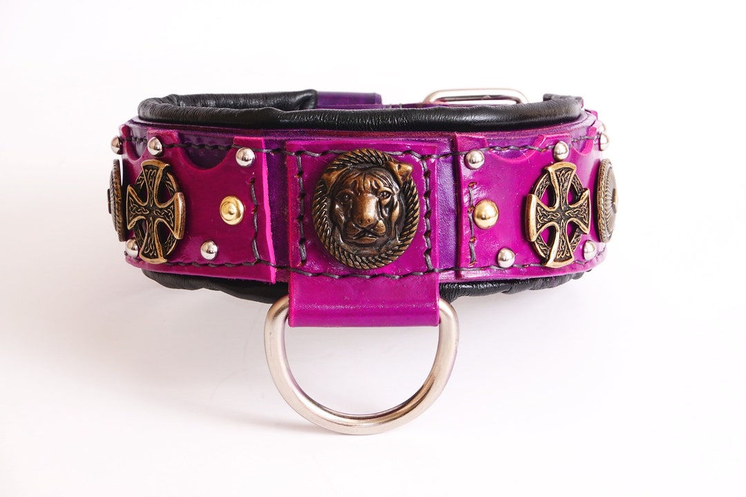 2 Inch Leather Dog Collar Padded for American Bully and Pitbull ...