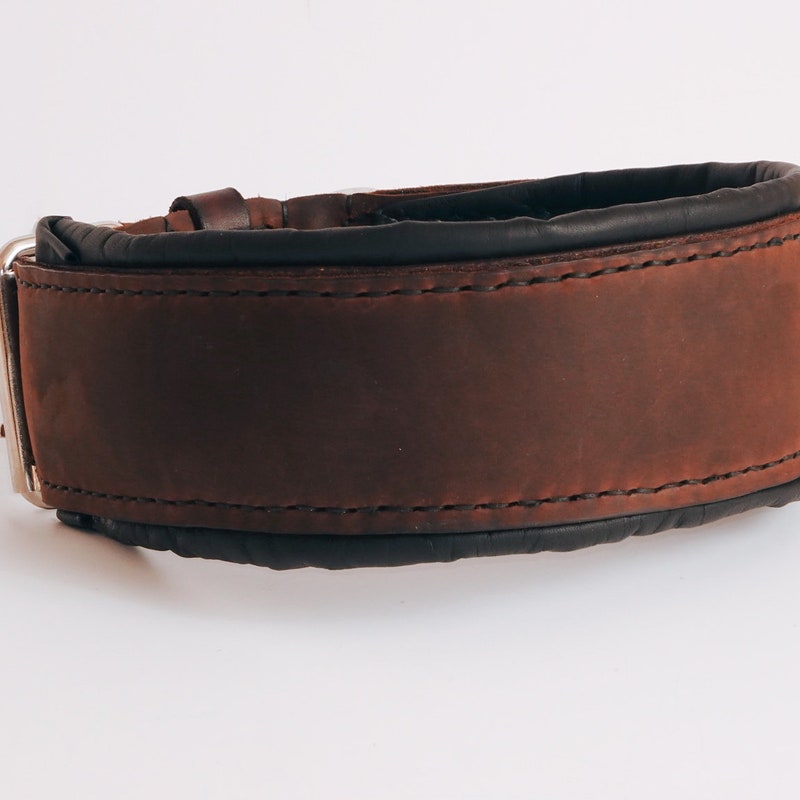 Horse Dog Collar - Etsy