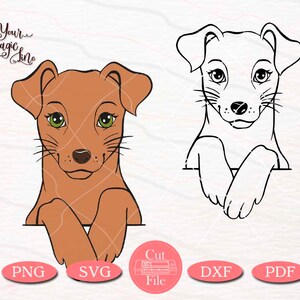 Dog Face Cut File SVG DXF PNG - Etsy