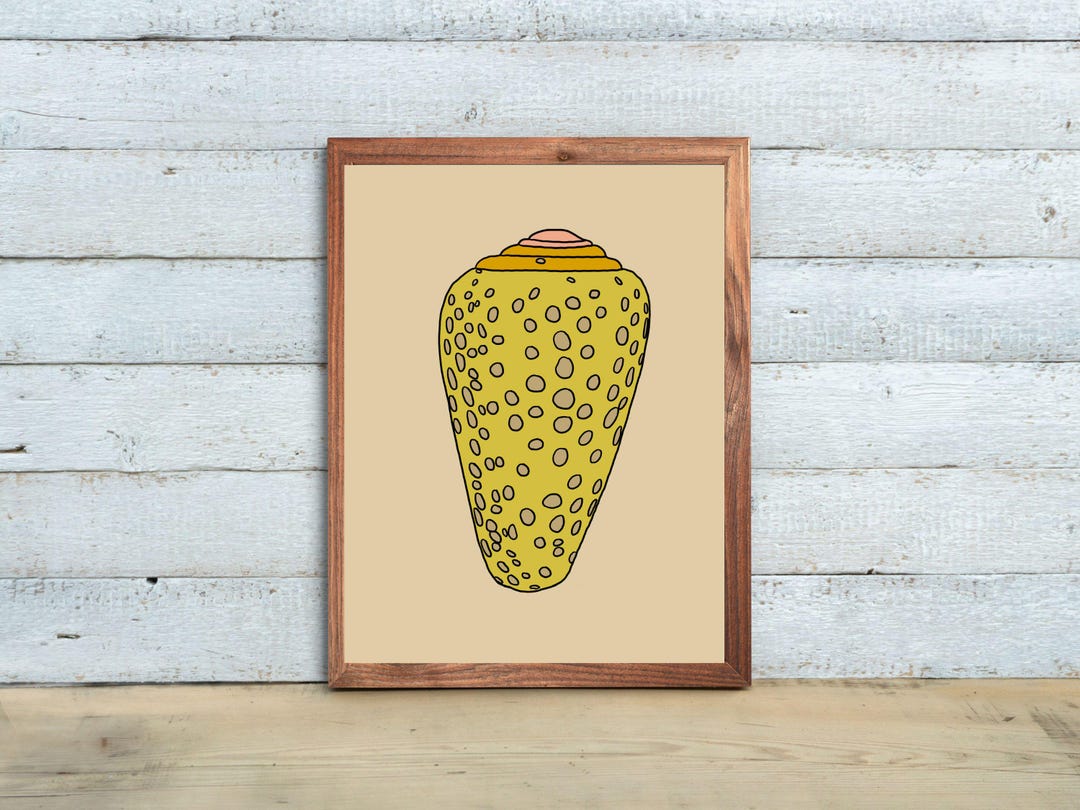 Spotted Cone Shell Art Print Surfing Poster, Surf Art, Beach, Surfing ...