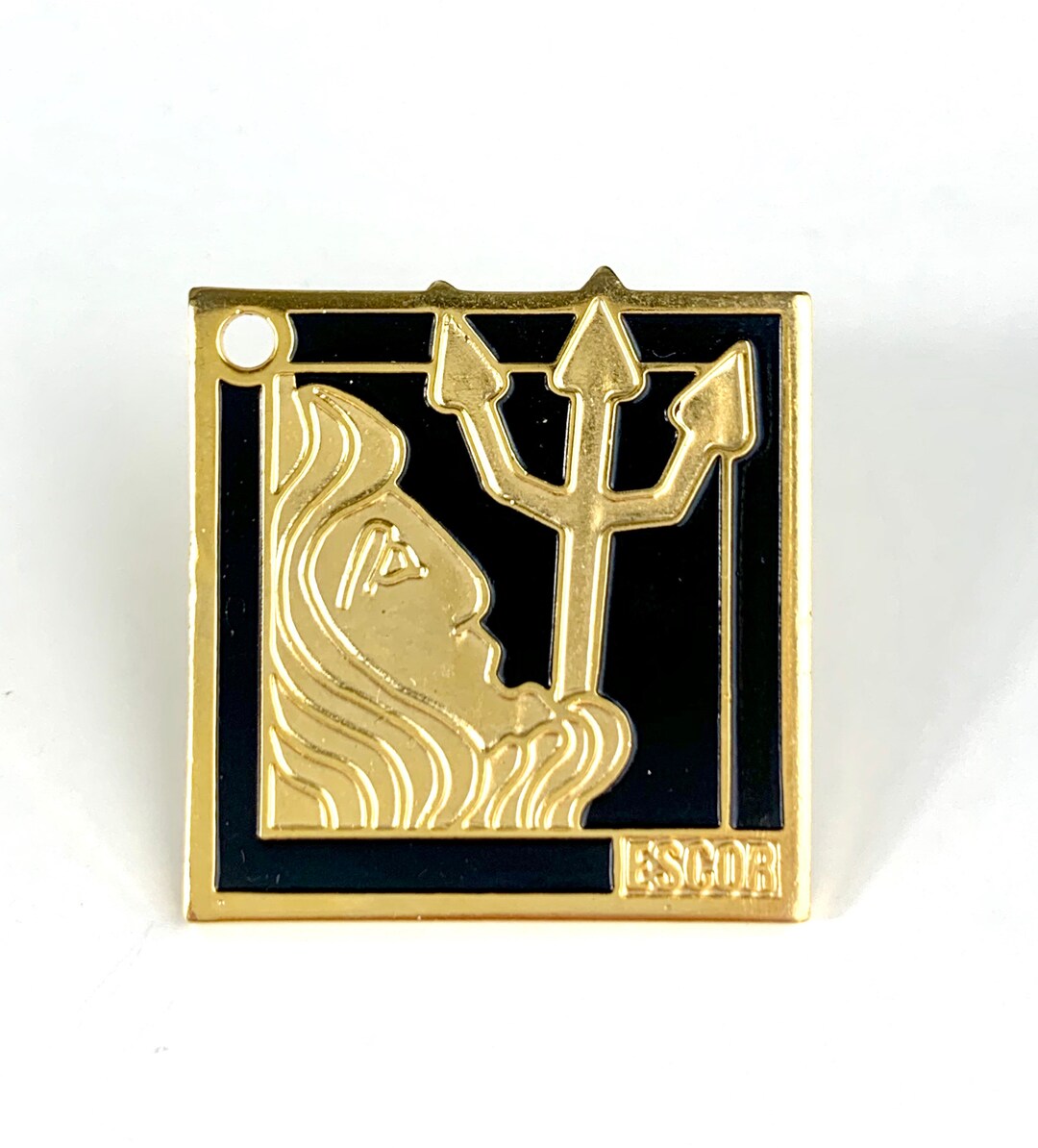 Vintage STAR SIGN AQUARIUS Zodiac Pin - Etsy