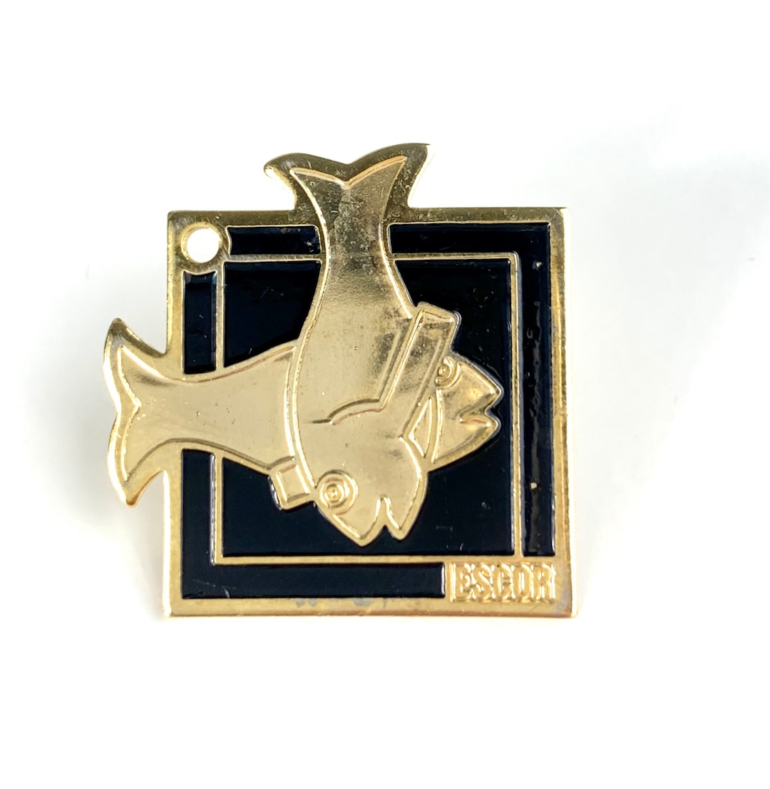 Vintage STAR SIGN PISCES Pin, Zodiac Pin, Water Sign, Horoscope ...