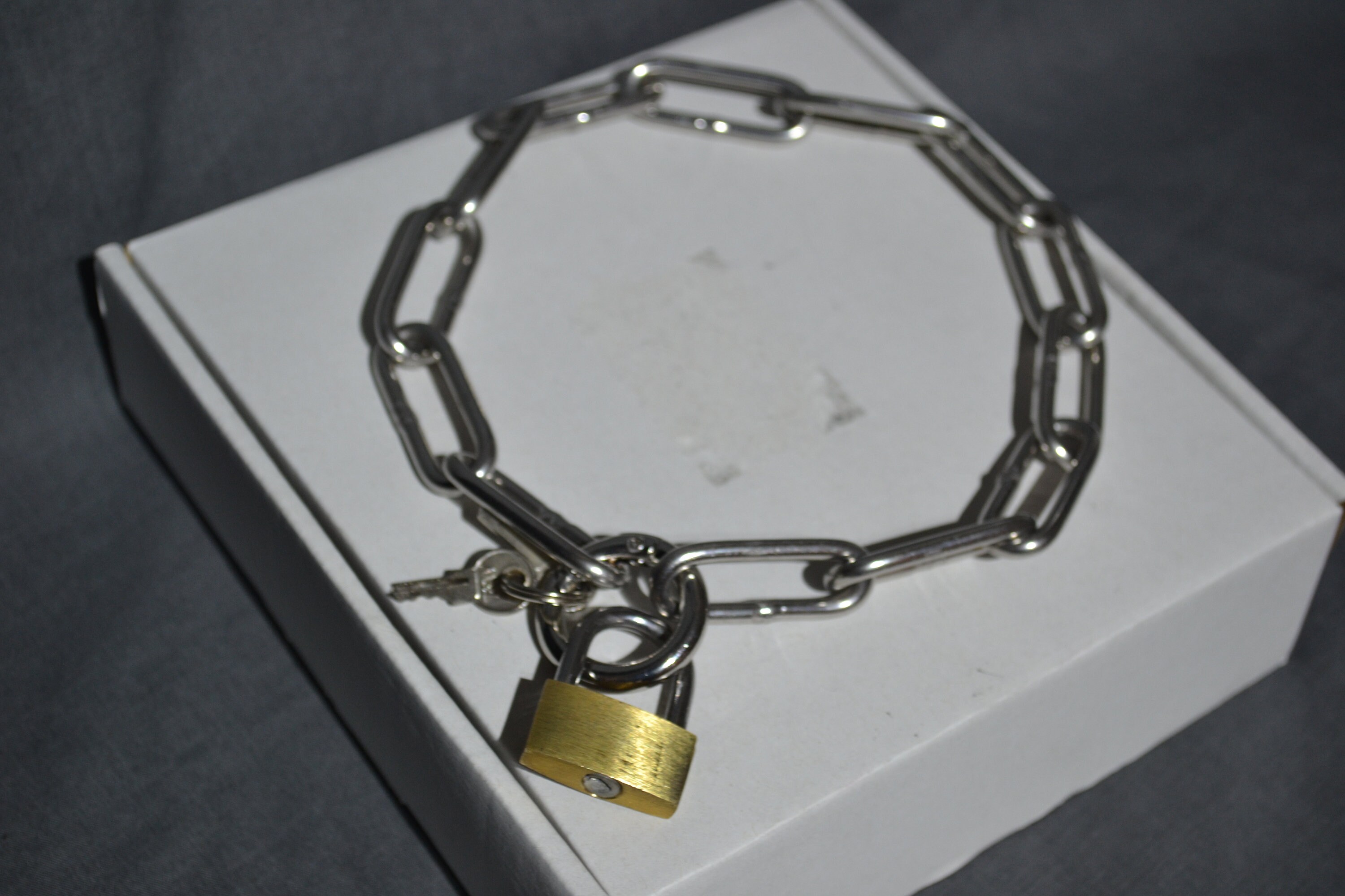 Padlock and Ring Chain Necklace With Keys Stainless Steel - Etsy