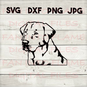 Labrador 1 SVG, DXF, Png, Jpg, Digital Download, Silhouette, Cricut - Etsy