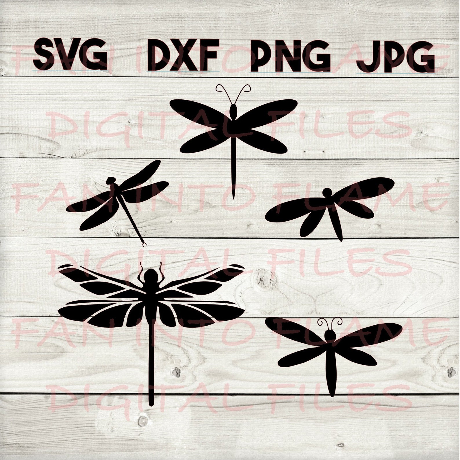 Libélula SVG DXF png jpg descarga digital silueta - Etsy España