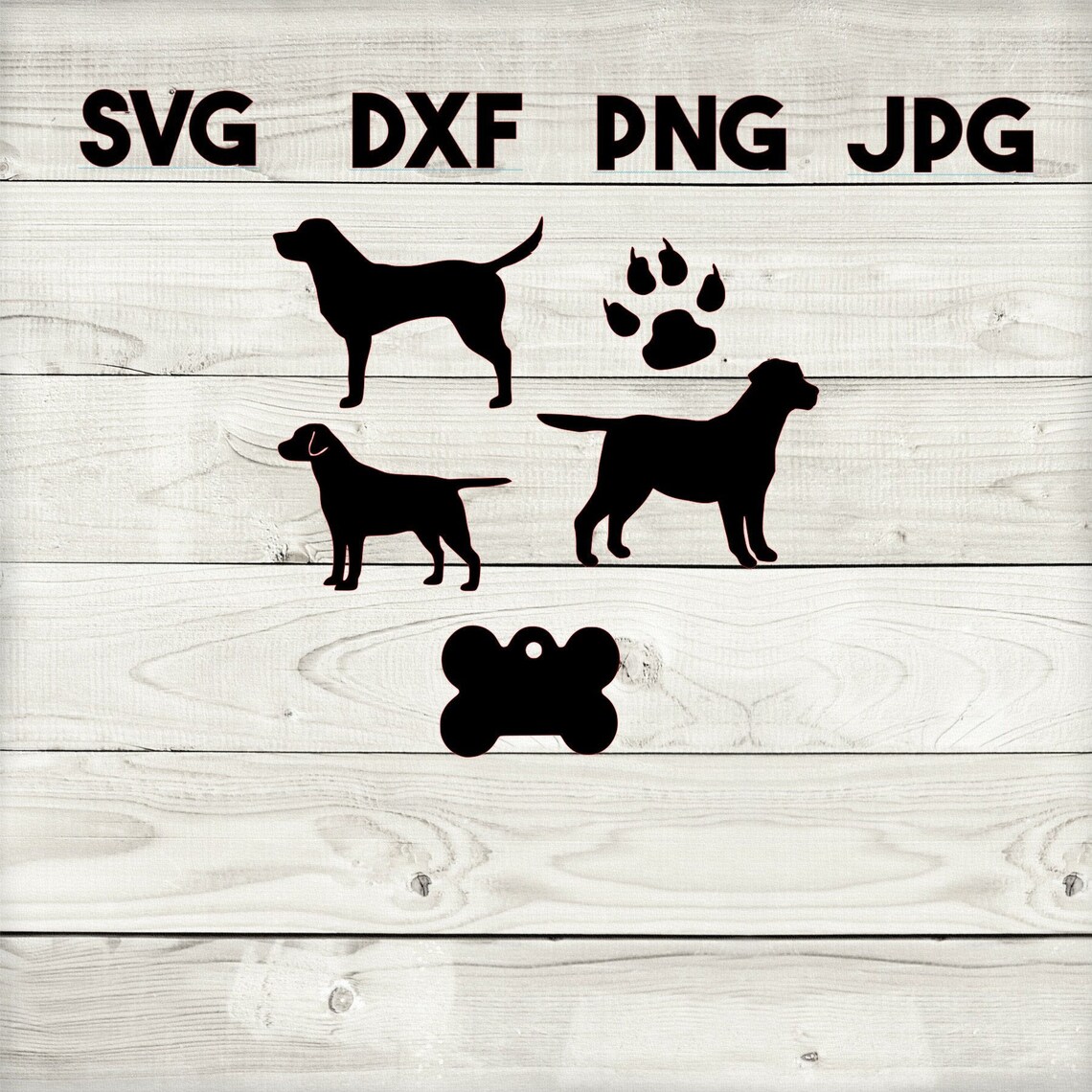 Lab SVG DXF Png Jpg Digital Download Silhouette Cricut - Etsy