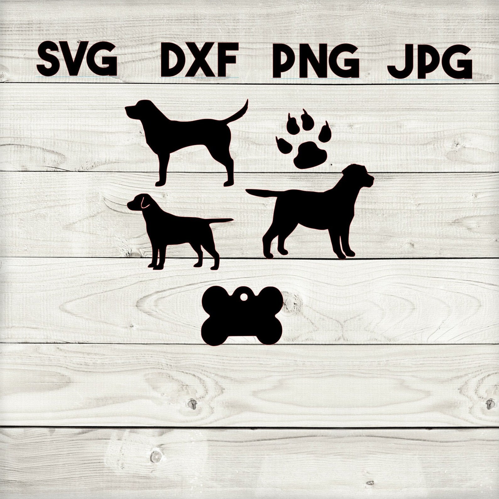 Lab SVG DXF Png Jpg Digital Download Silhouette Cricut - Etsy