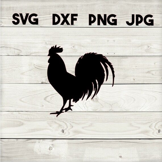 Gallo SVG DXF png jpg descarga digital silueta cricut | Etsy