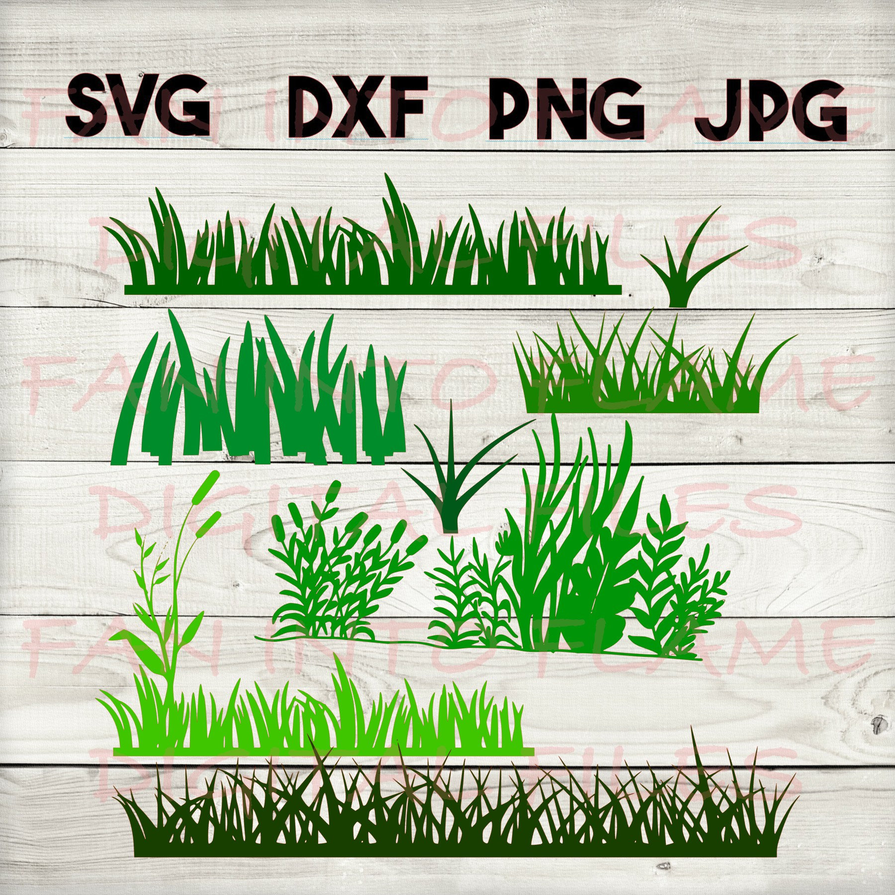 Grass SVG DXF png jpg digital download silhouette | Etsy