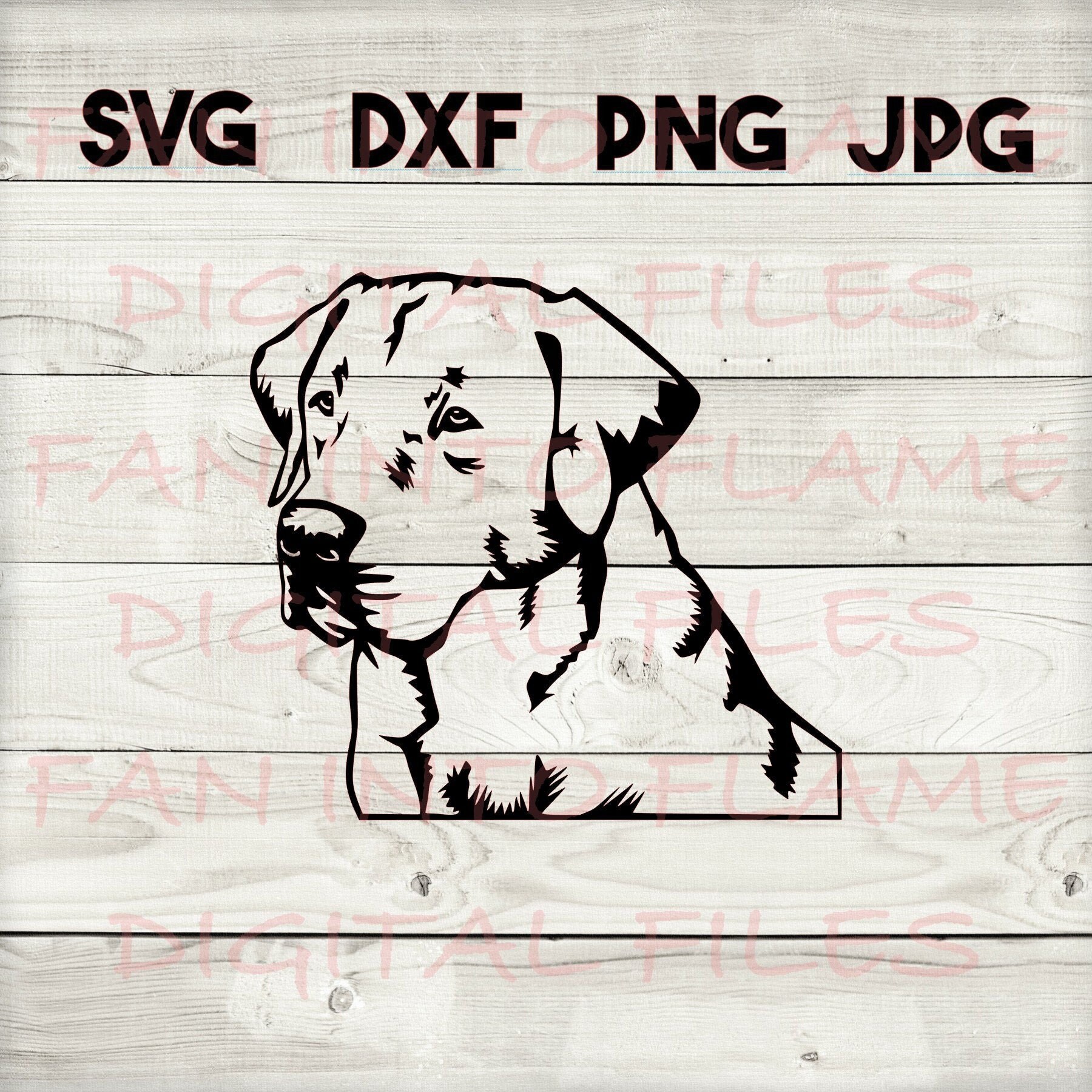 Labrador 1 SVG DXF Png Jpg Digital Download Silhouette - Etsy