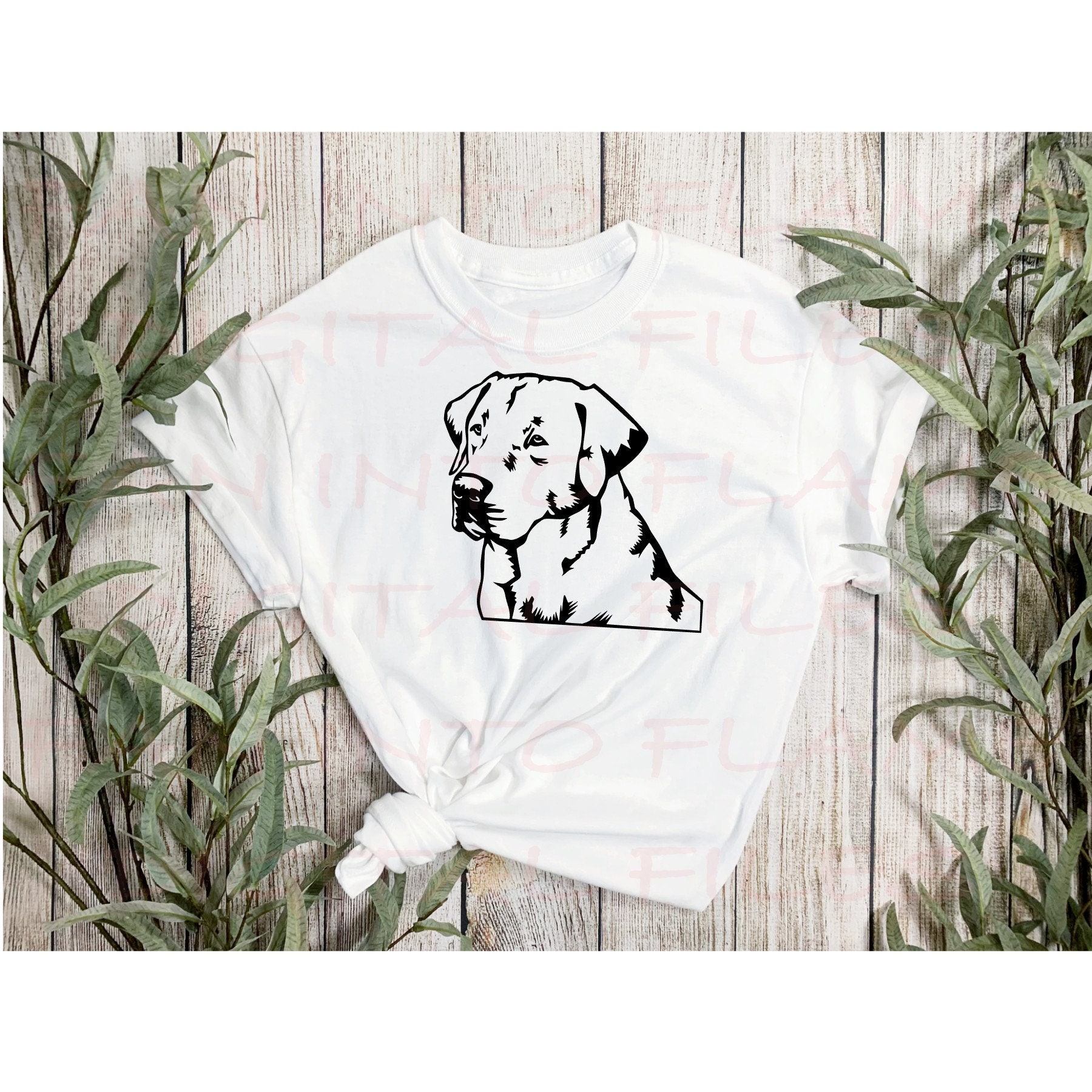 Labrador 1 SVG DXF Png Jpg Digital Download Silhouette - Etsy