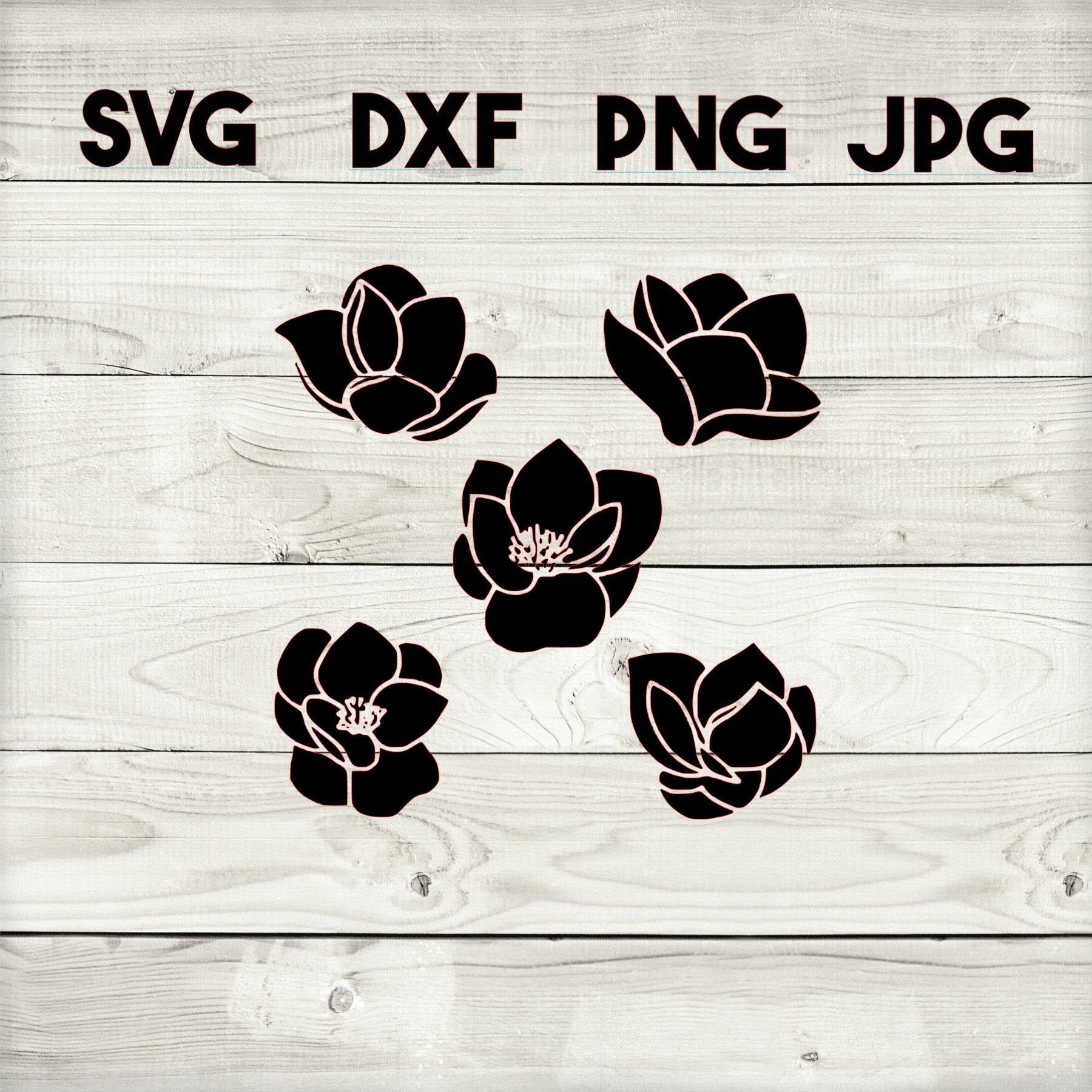 Magnolia SVG DXF Png Jpg Digital Download Silhouette - Etsy