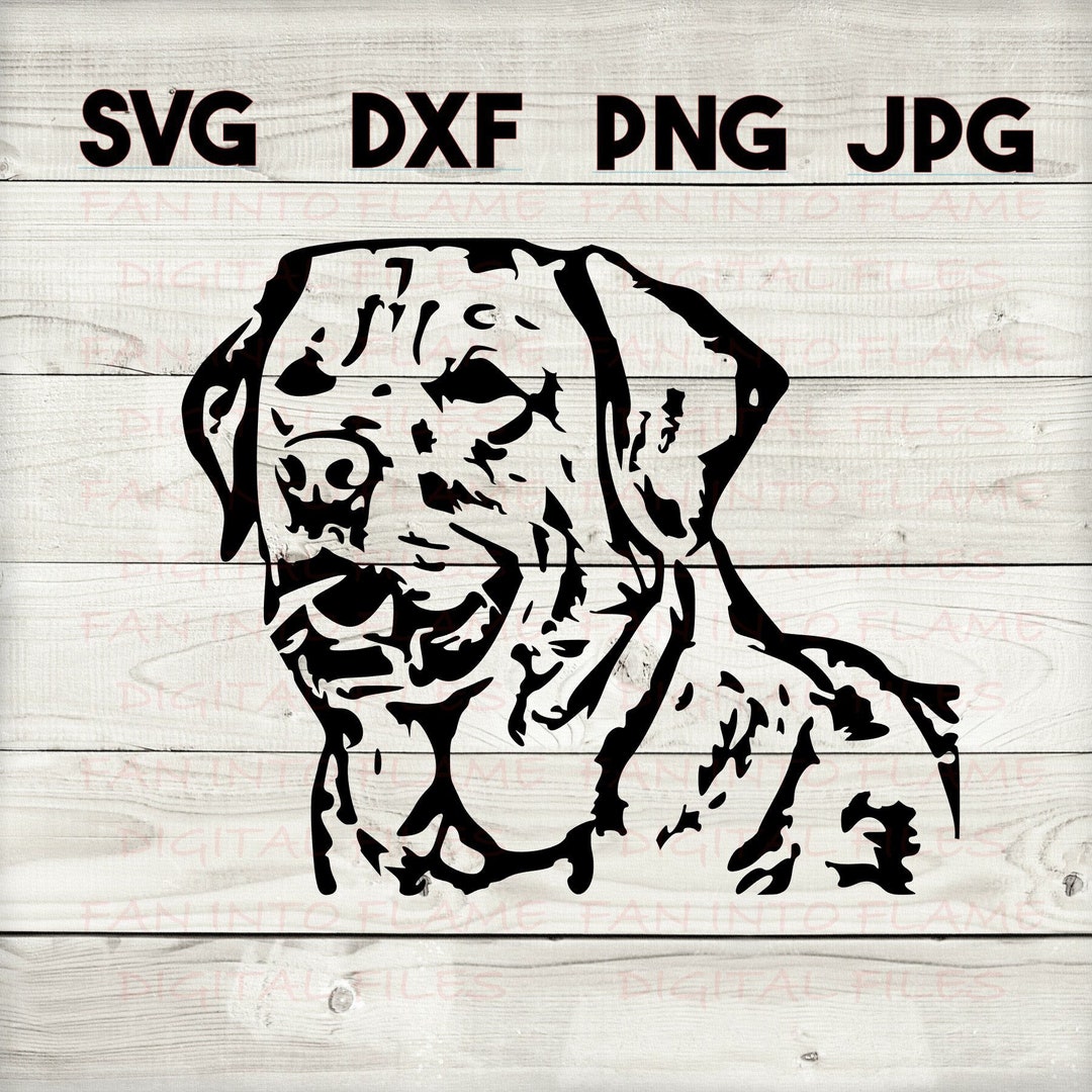 Lab 2 SVG, DXF, Png, Jpg, Digital Download, Silhouette, Cricut ...