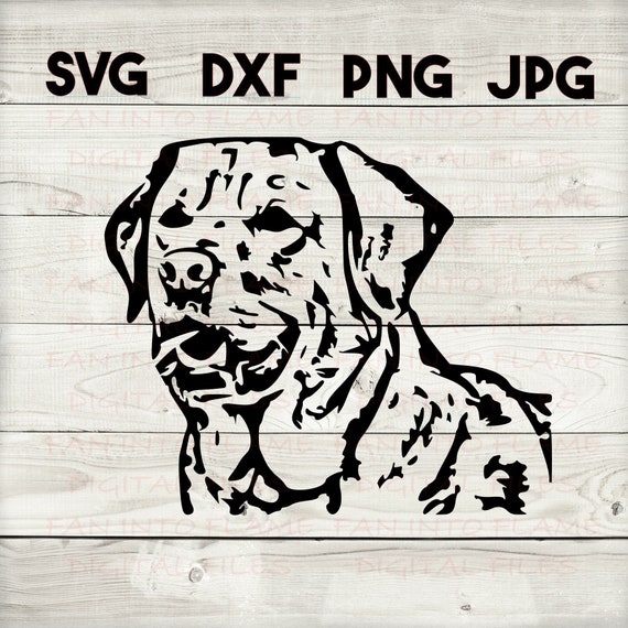 Lab 2 SVG DXF Png Jpg Digital Download Silhouette | Etsy