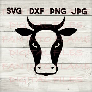 Tête de vache SVG, DXF, png, jpg, téléchargement numérique, silhouette ...