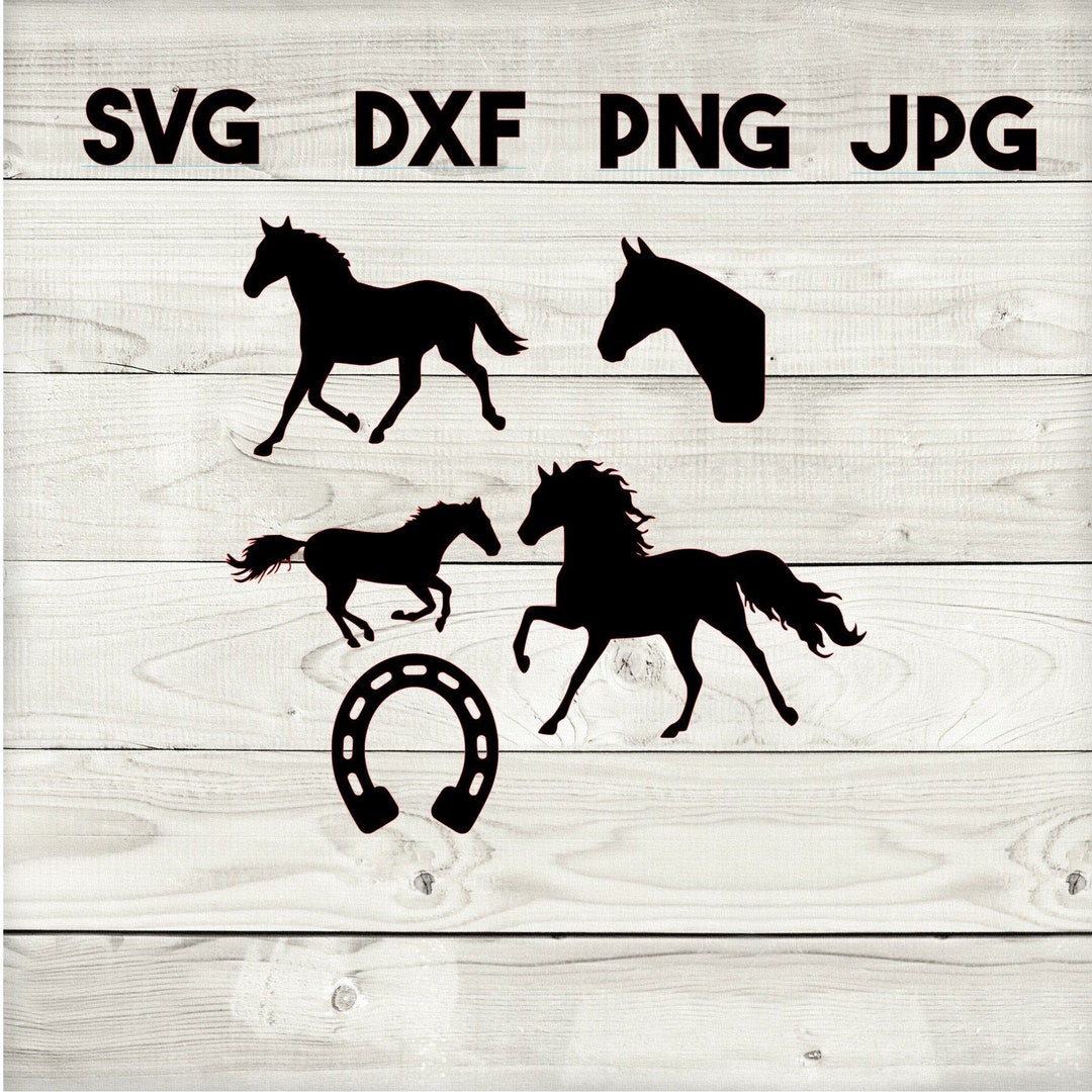 Horse Rr SVG, DXF, Png, Jpg, Digital Download, Silhouette, Cricut - Etsy