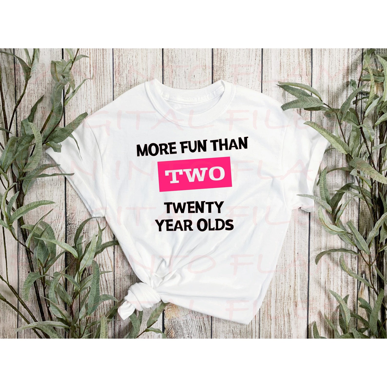 More Fun Than 2 Twenty Year Olds SVG, DXF, Png, Jpg, Digital Download ...