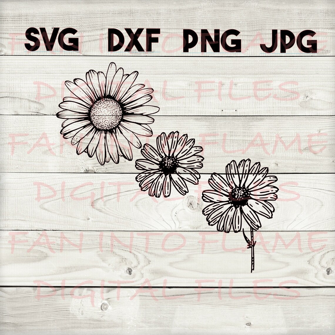 Daisy SVG DXF Png Jpg Digital Download Silhouette - Etsy