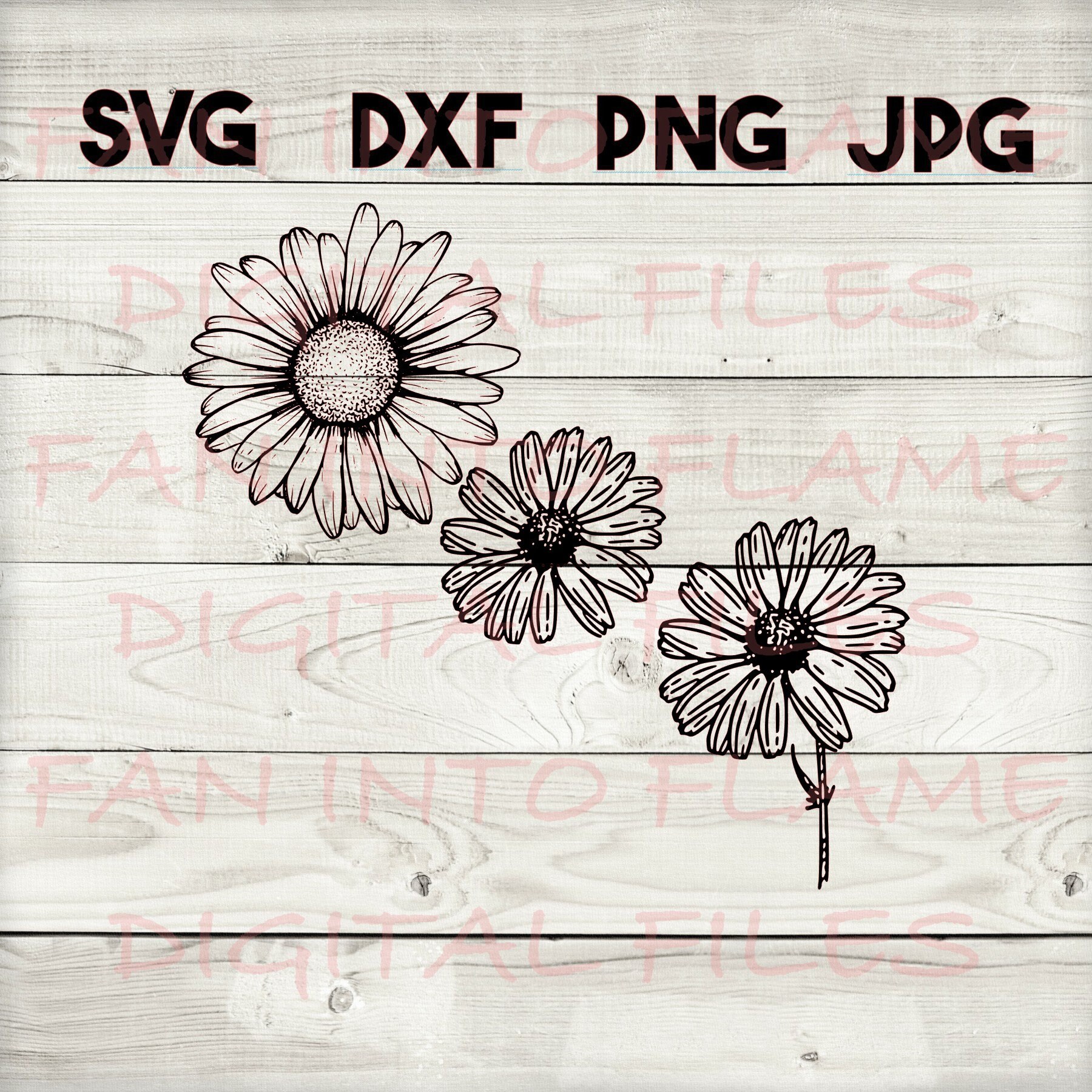 Daisy SVG DXF Png Jpg Digital Download Silhouette - Etsy Canada