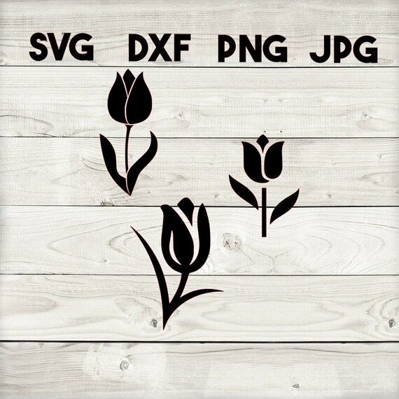 Tulip Bundle SVG DXF Png Jpg Digital Download Silhouette - Etsy