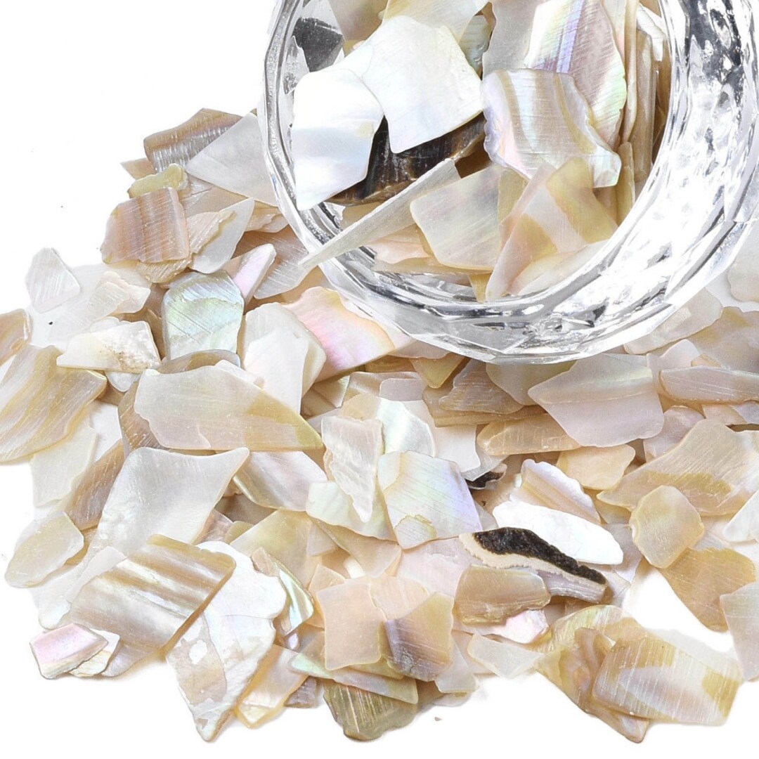 Ecru Natural Abalone Shell for Resin Craft Paua Shell Mica Fragment ...