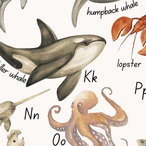 Nautical ABC Poster - Alphabet Poster - Ocean Nursery - Etsy