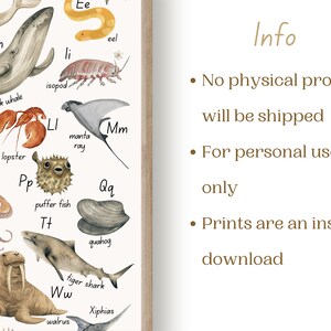 Nautical ABC Poster - Alphabet Poster - Ocean Nursery - Etsy