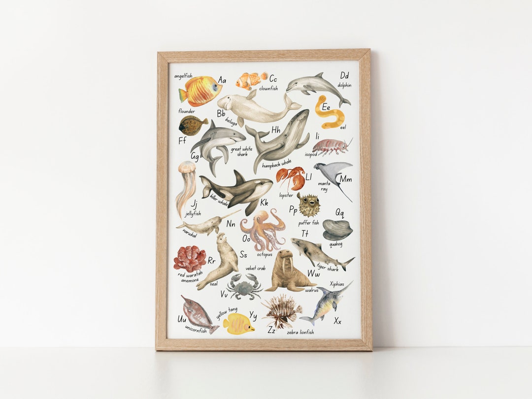 Nautical ABC Poster - Alphabet Poster - Ocean Nursery - Etsy