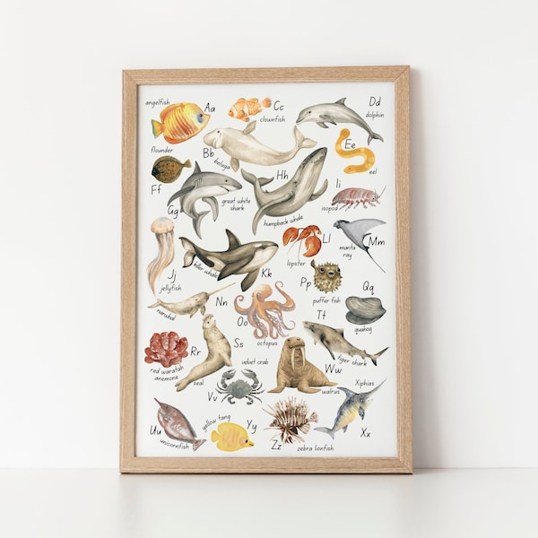 Nautical Alphabet - Etsy