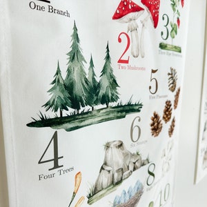 ABC Woodland Poster - Alphabet Numbers Tapestry Back to School ...