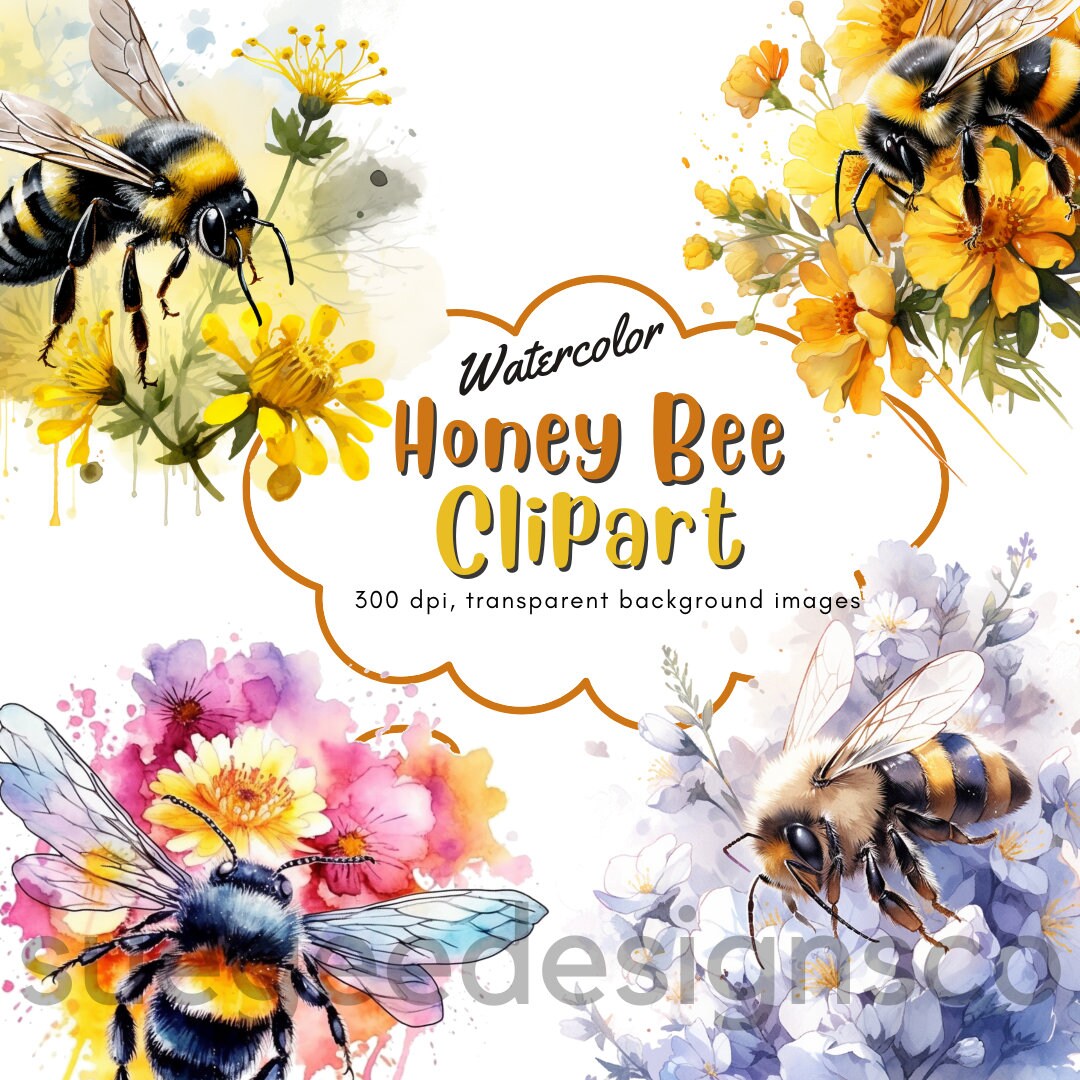 Watercolor Honey Bee Clipart, Clipart Bundle, Floral Bees, Insects ...