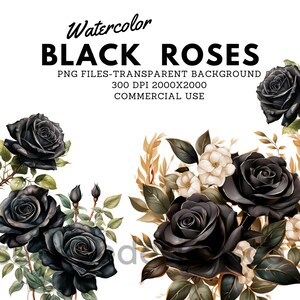 Watercolor Black Roses Clipart BUNDLE - Black Roses and Leaves in PNG ...