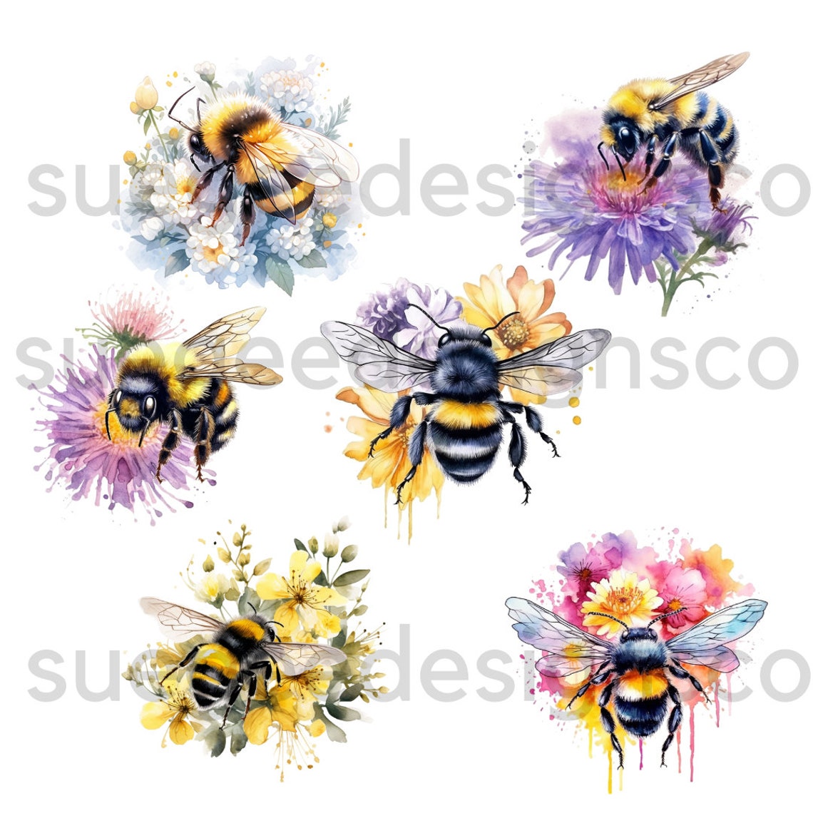 Watercolor Honey Bee Clipart Clipart Bundle Floral Bees - Etsy