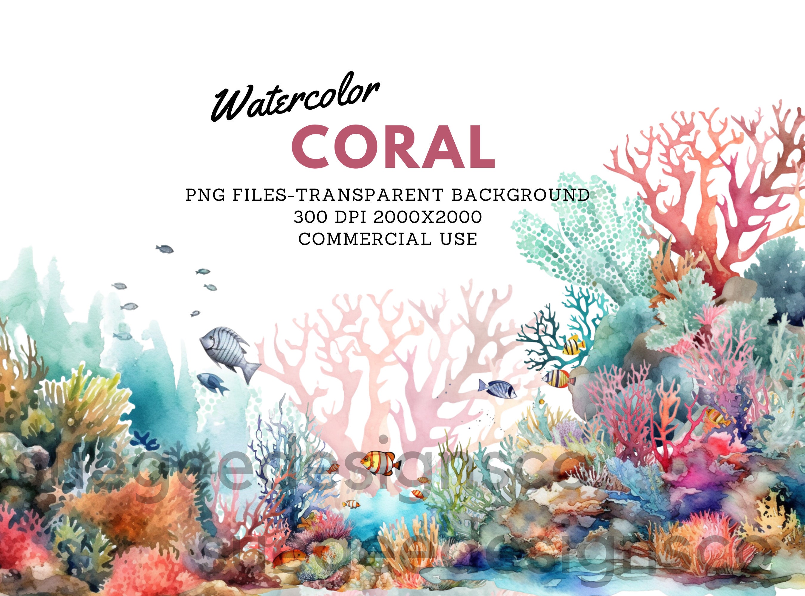 Watercolor Coral Reef Clipart BUNDLE, Under the Sea, Sea Animals PNG ...