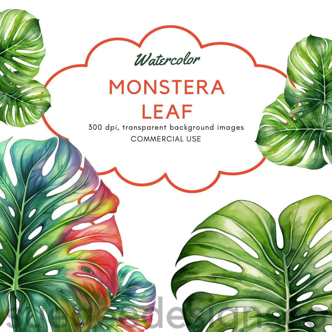 Watercolor Monstera Leaf Clipart, Clipart Bundle,monstera Plant ...