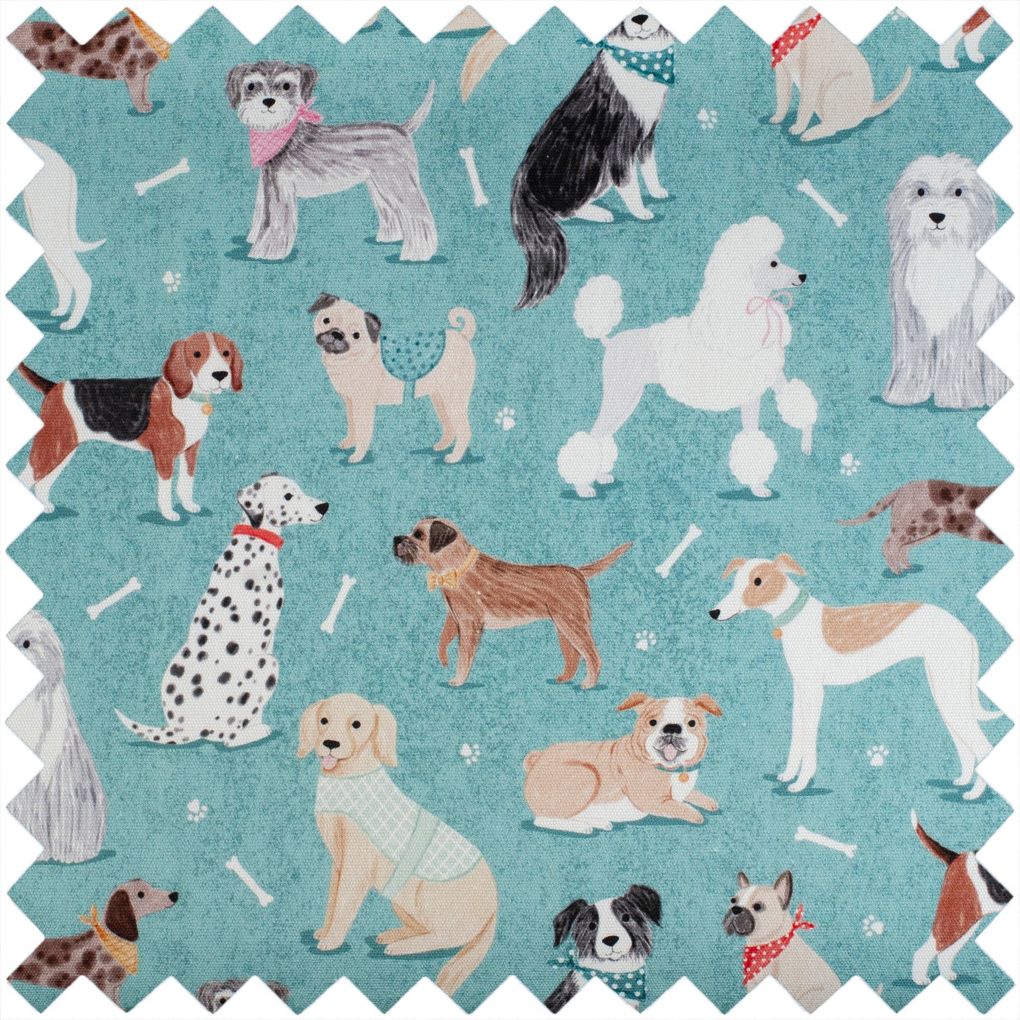 Dog Print Craft Bag – Turquoise Sewing & Knitting Tote With Pockets - Etsy