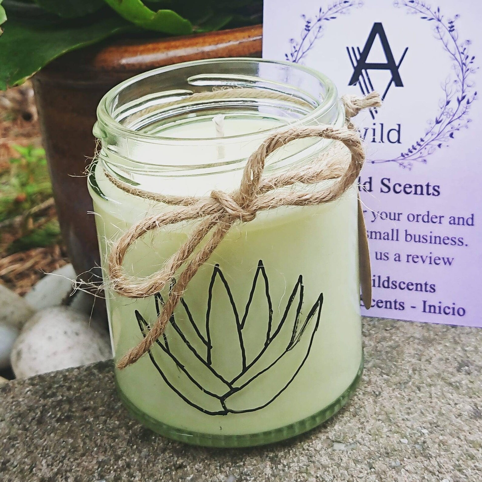 Aloe Vera and Cucumber, Uplifting Yoga Candle, Soothing Fragrance ...