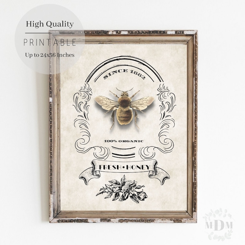 Vintage Bee Print - Etsy