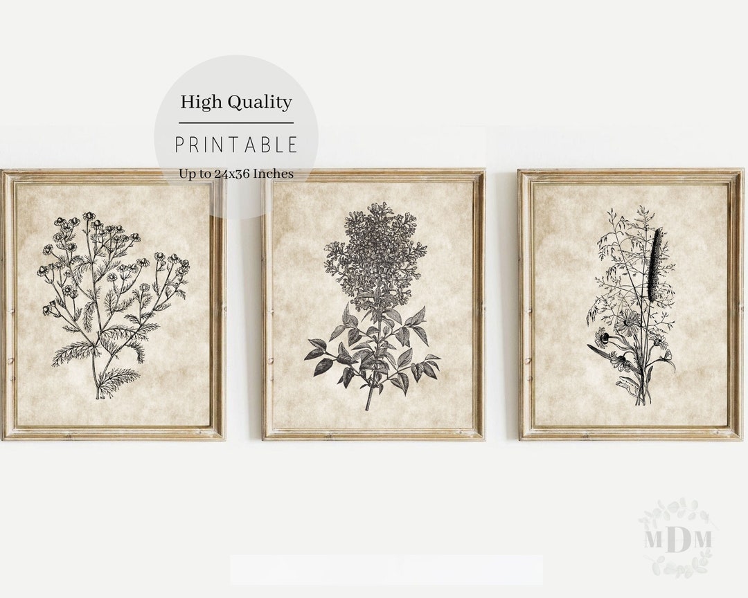 Spring Printable Wall Art,set of Three,farmhouse Spring Print,spring ...