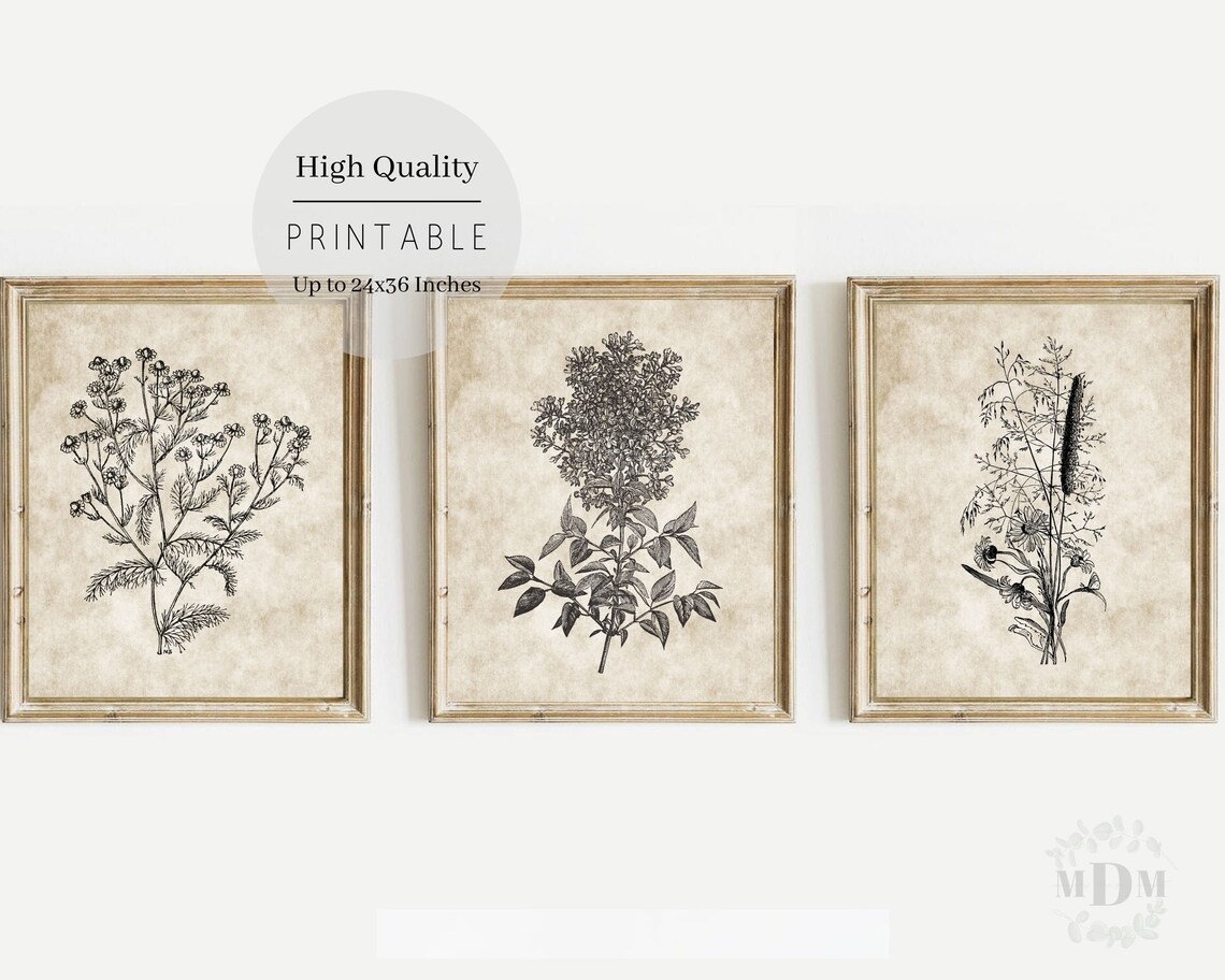 Spring Printable Wall Artset of Threefarmhouse Spring - Etsy