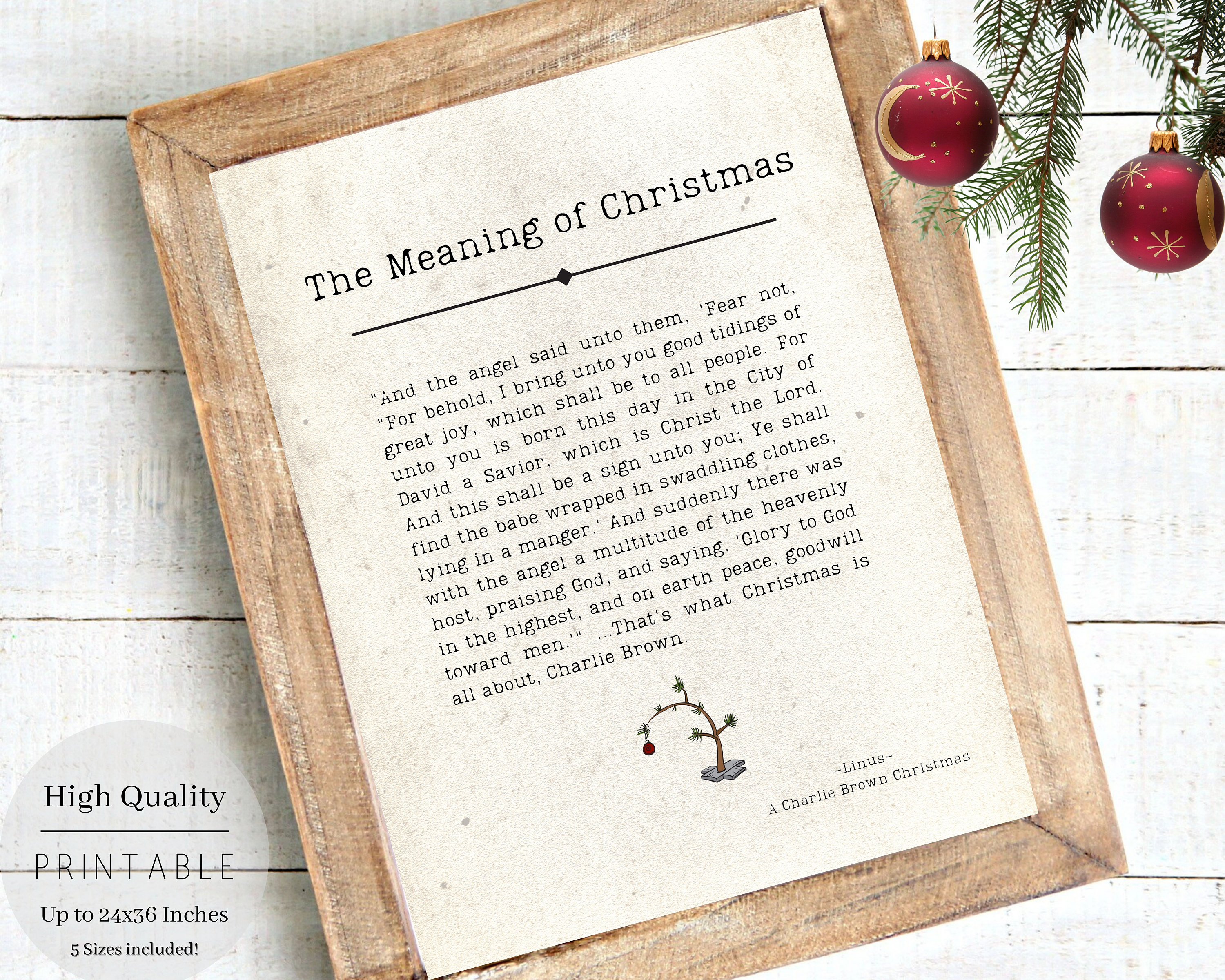 Linus Christmas Speech