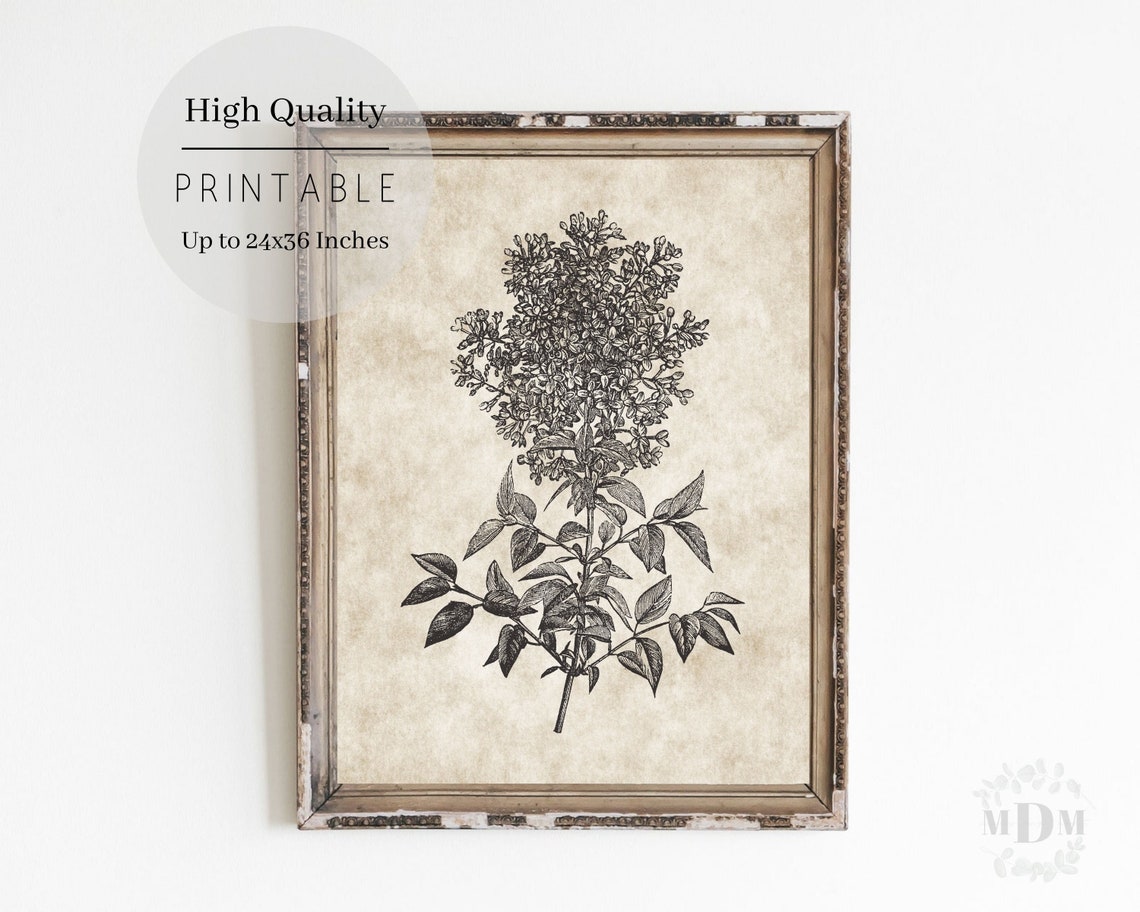 Spring Printable Wall Artset of Threefarmhouse Spring - Etsy