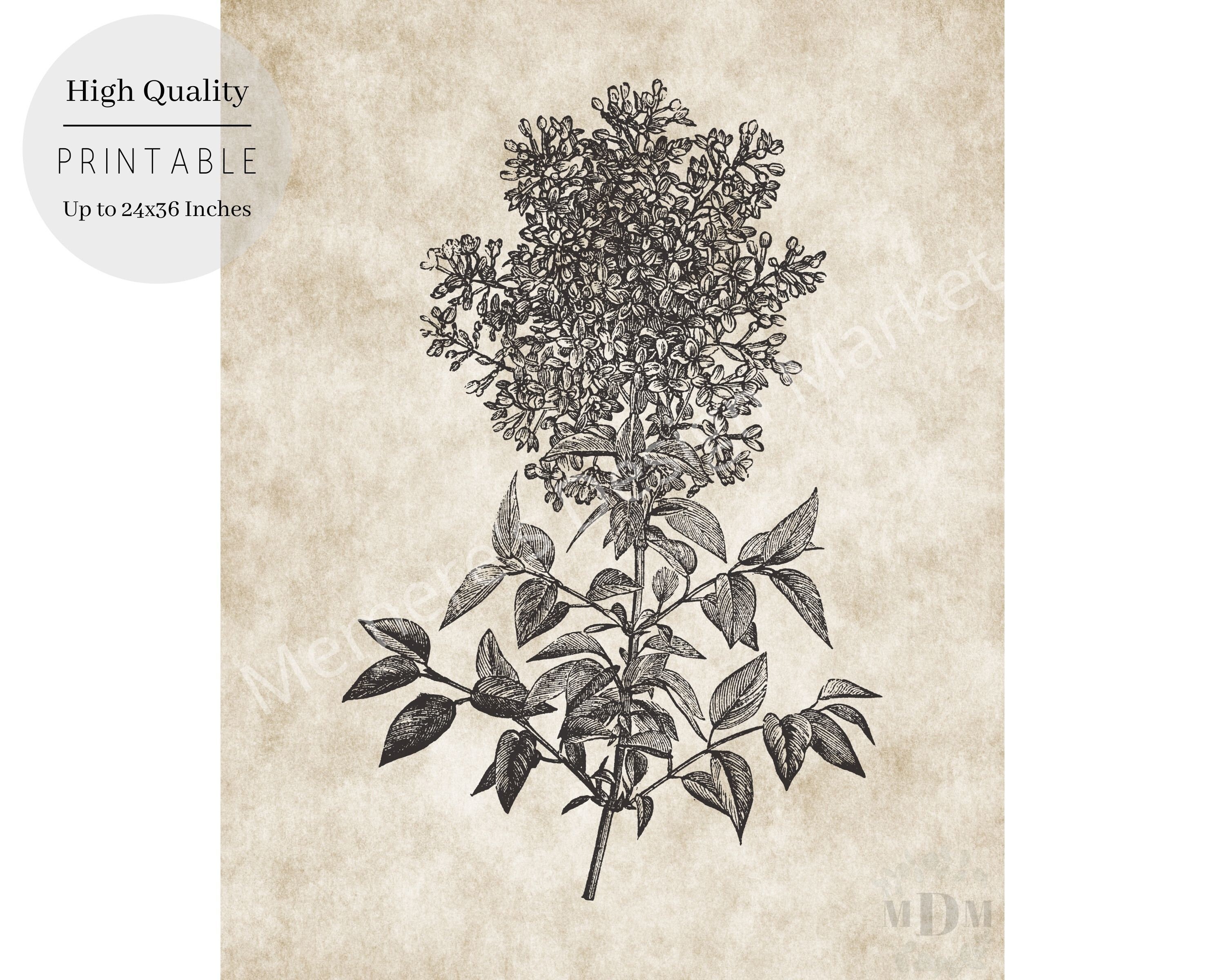 Spring Printable Wall Art,set of Three,farmhouse Spring Print,spring ...