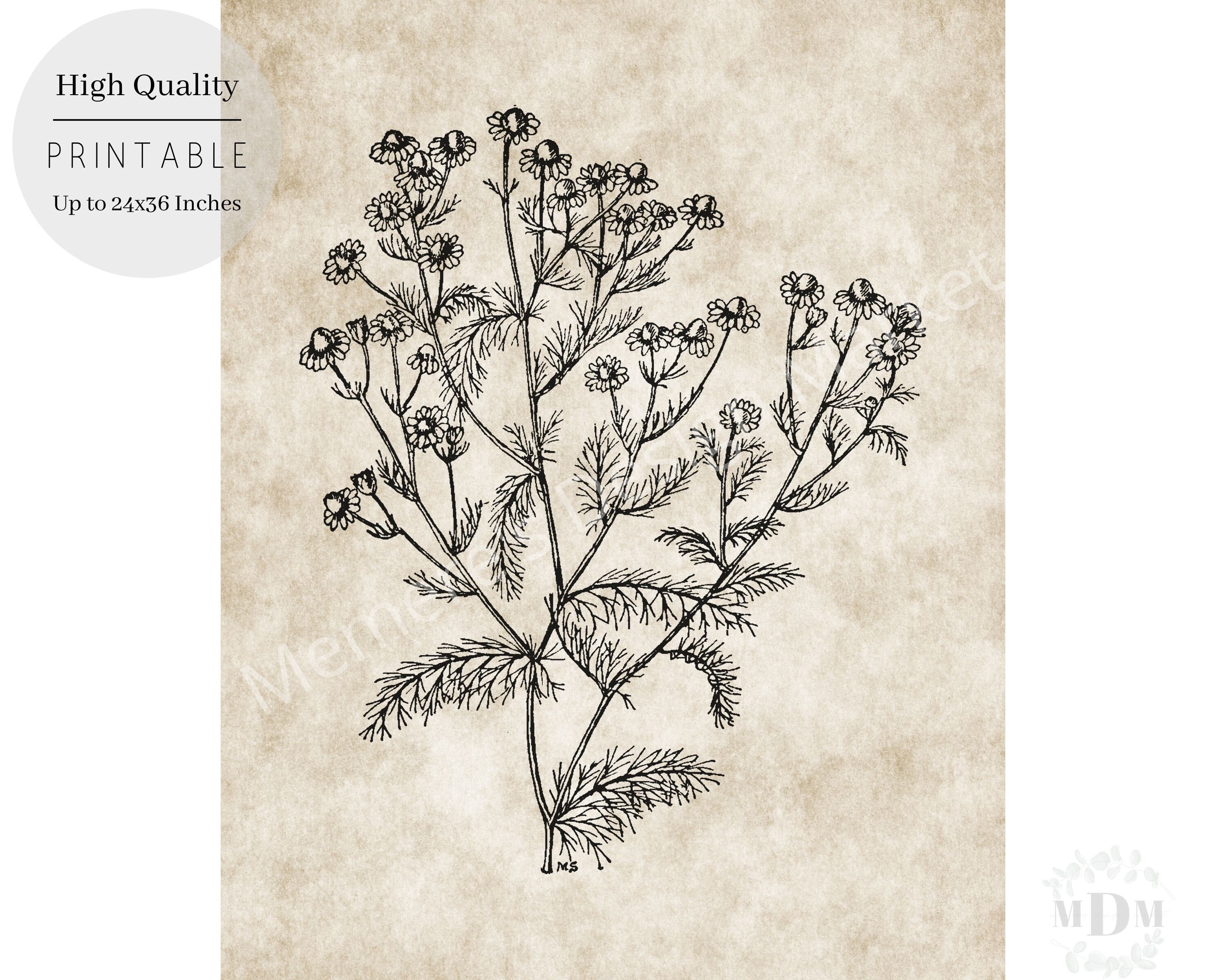 Spring Printable Wall Artset of Threefarmhouse Spring - Etsy