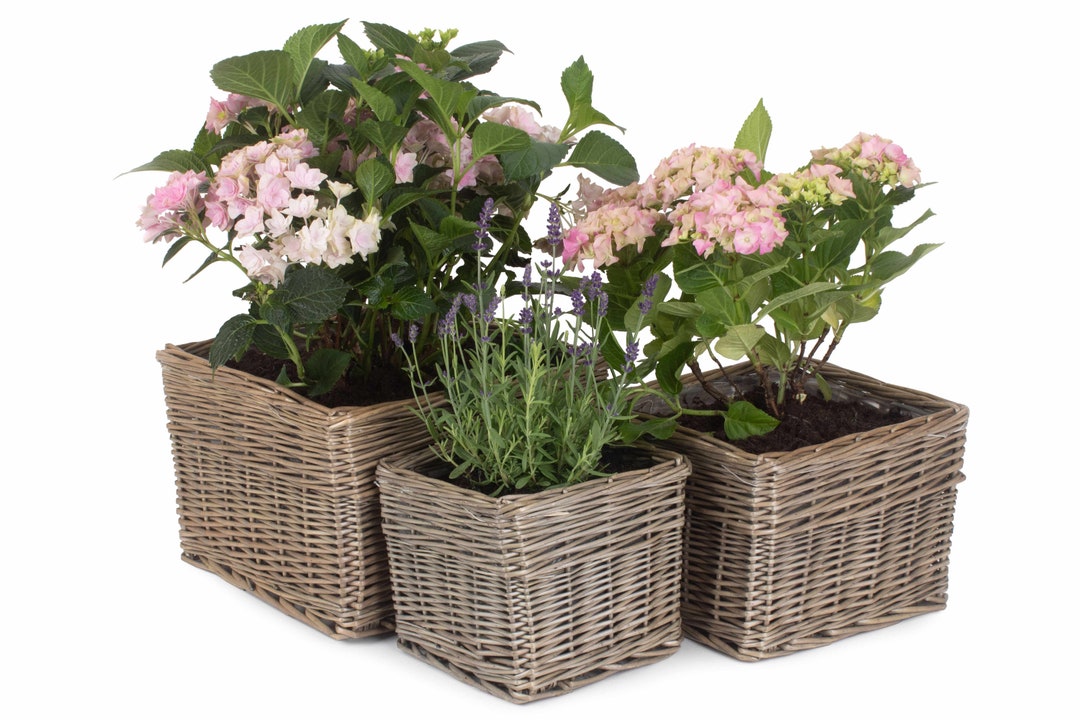 Square Wicker Planters Baskets for Indoor or Outdoor Use - Etsy